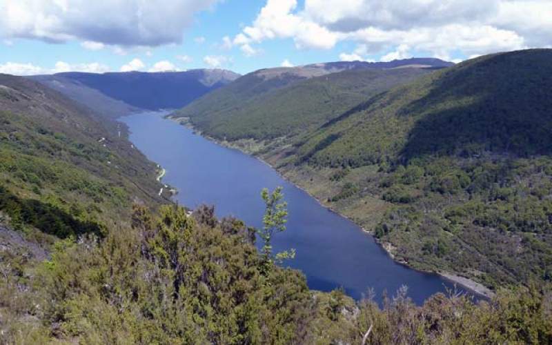 Cobb River Campsite | Freedom/Basic Camp | New Zealand